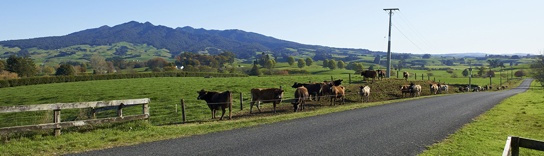 Roading Asset Valuation (RRAVP) - Co-Lab